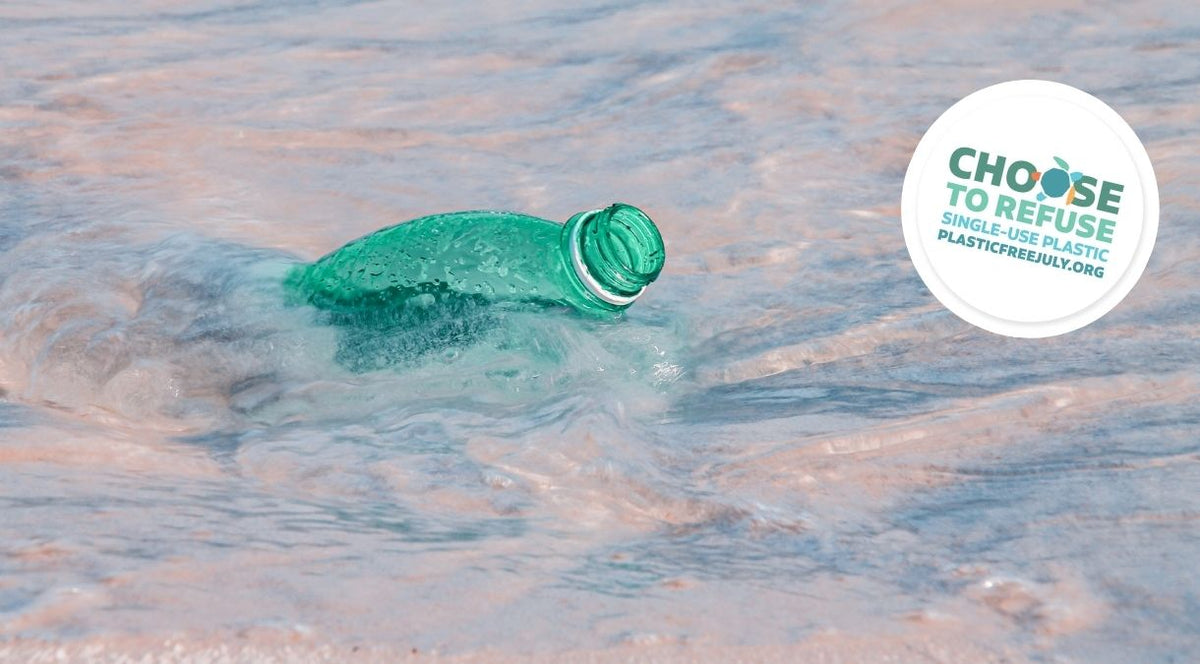 8 ways to reduce your use of single-use plastic | Victoria Green